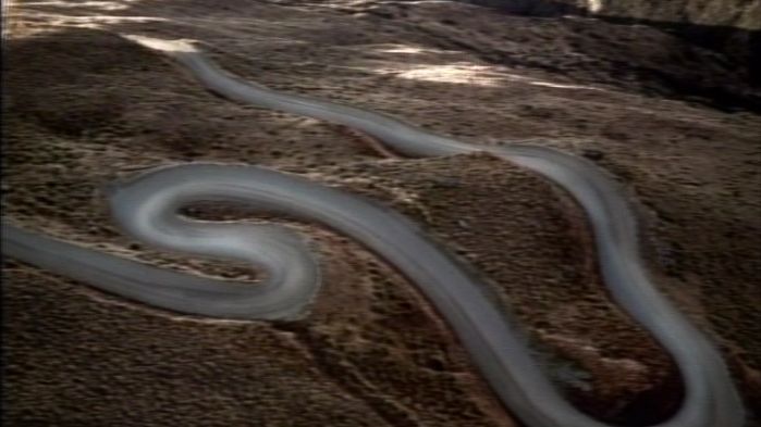 BMW - Asphalt • Fish.