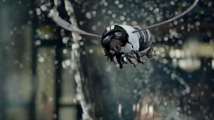 Jack Daniels - Swarm • Fish.